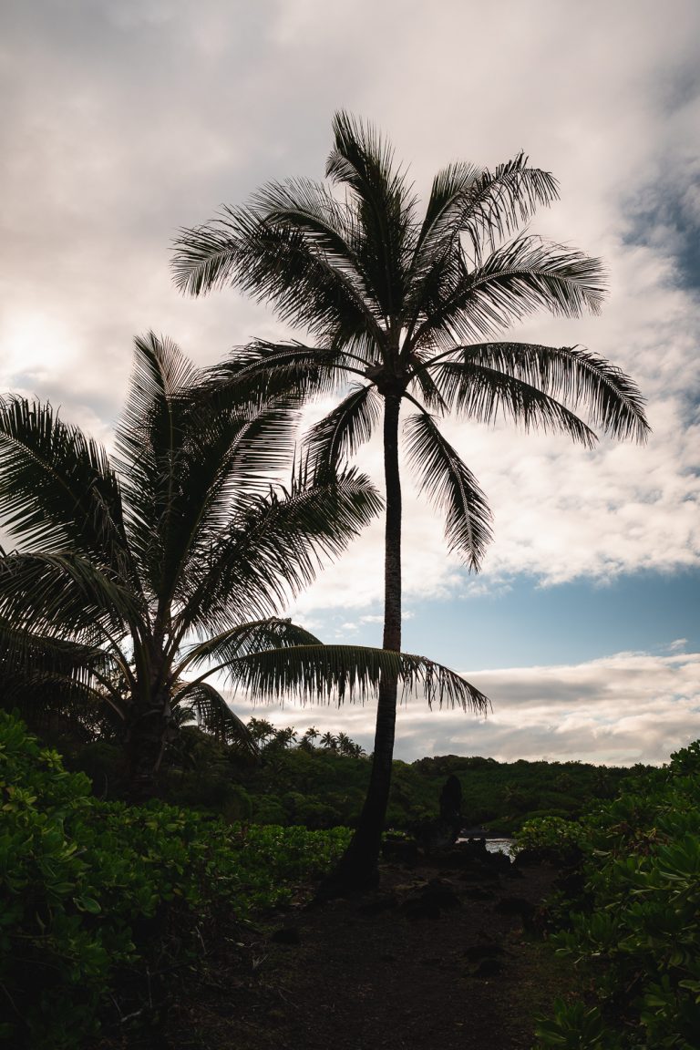 The Ultimate Itinerary for 5 days in Maui, Hawaii — Trip Over Life